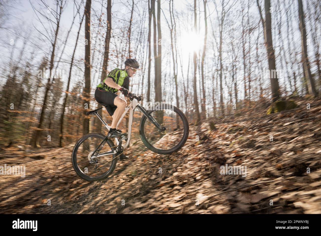 Mountain biker riding uphill on forest track Stock Photo - Alamy
