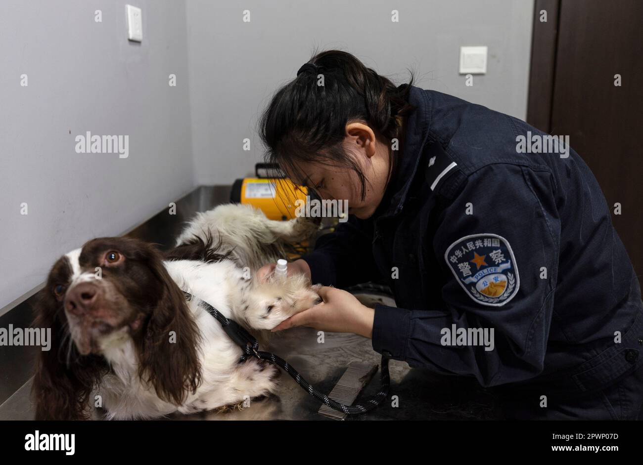 (230501) -- ALATAW PASS, May 1, 2023 (Xinhua) -- Liu Xin applies ...