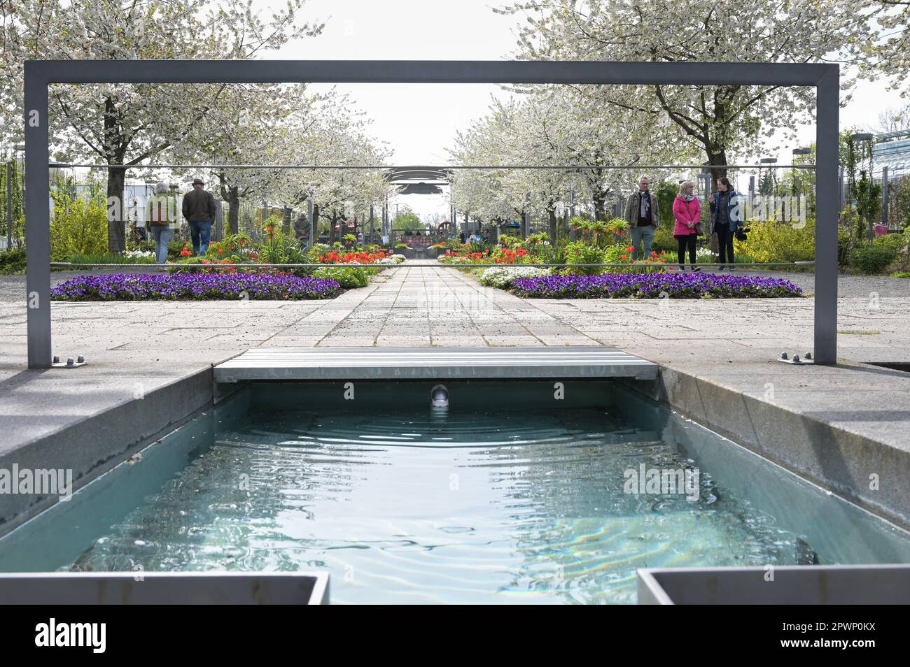 01 May 2023, Saxony-Anhalt, Sangerhausen: A water feature and flowering ...