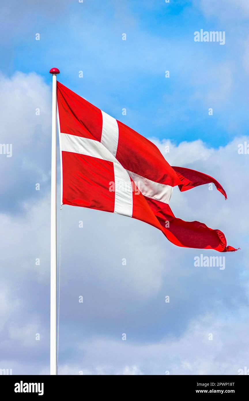 Flag of the Kingdom of Denmark waving in the wind Stock Photo - Alamy