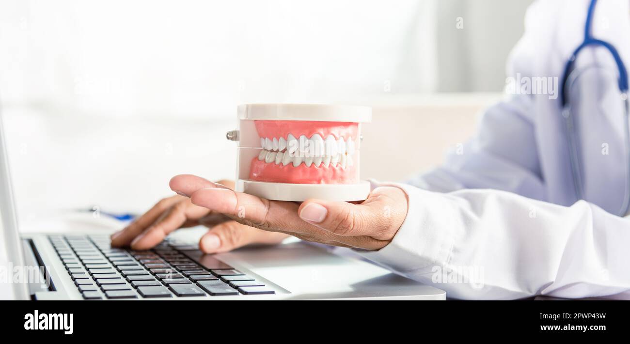 Dentist woman hand holding educational jaw model of oral cavity with ...