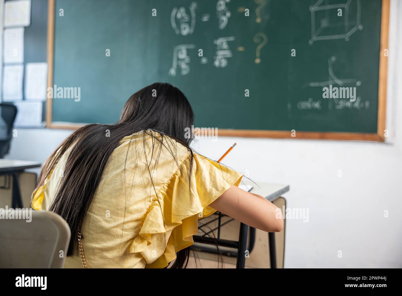 Education. Back view of school girl on lesson in classroom write ...