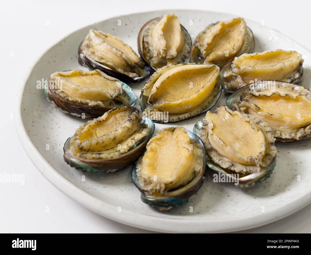 Delicious raw abalone in a plate on white table background Stock Photo ...