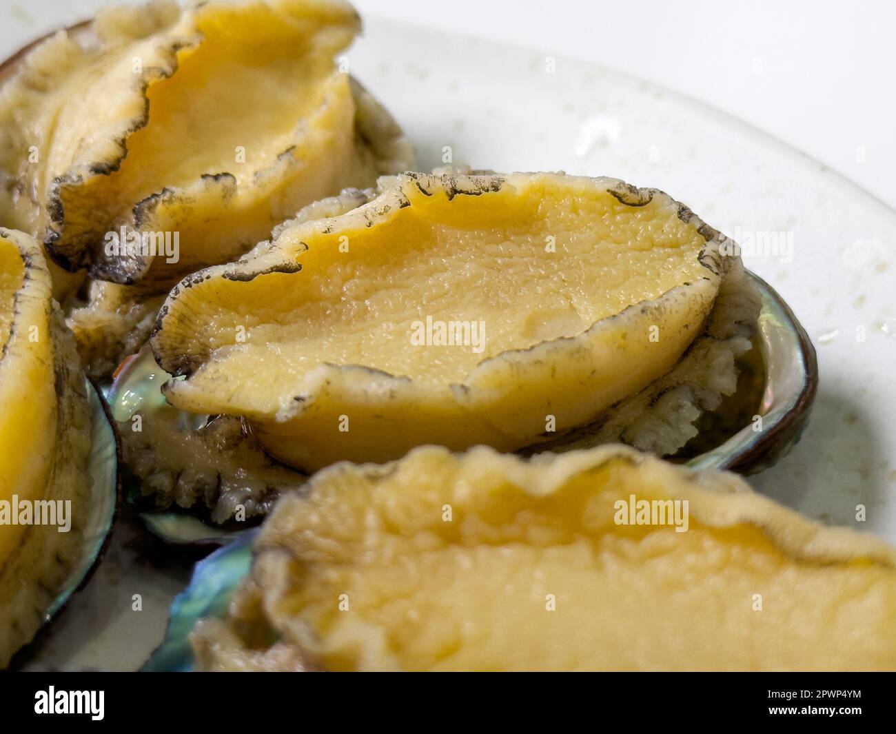 Delicious raw abalone in a plate on white table background Stock Photo ...