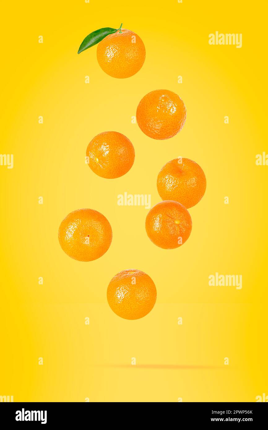 Falling mandarin fruits. Seven flying whole tangerines on colored table ...