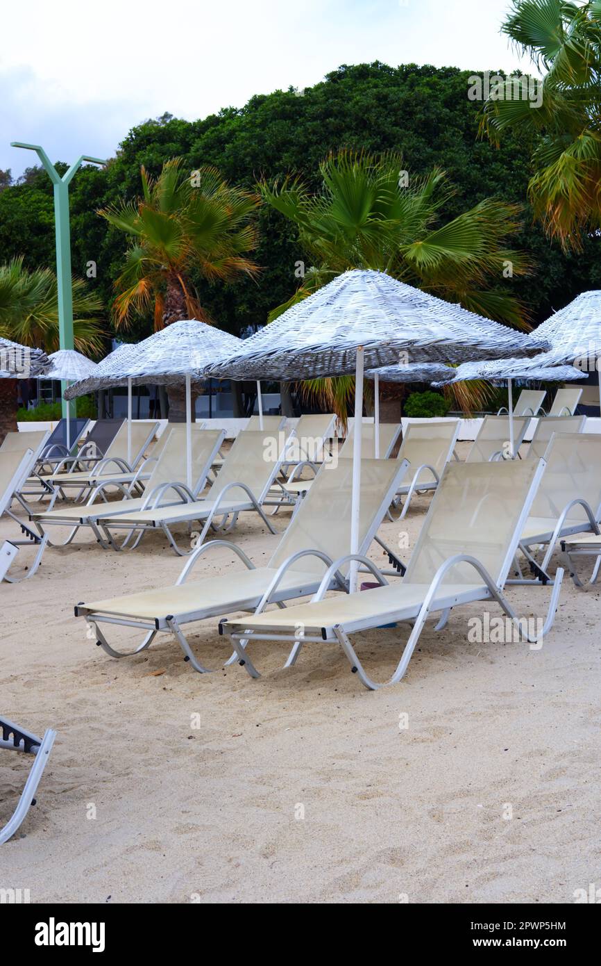 Empty seabeds at sandy beach with bambu umbrellas. Hills and trees at ...