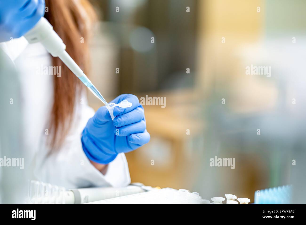 test of a chemical sample in the scientific laboratory of the research ...