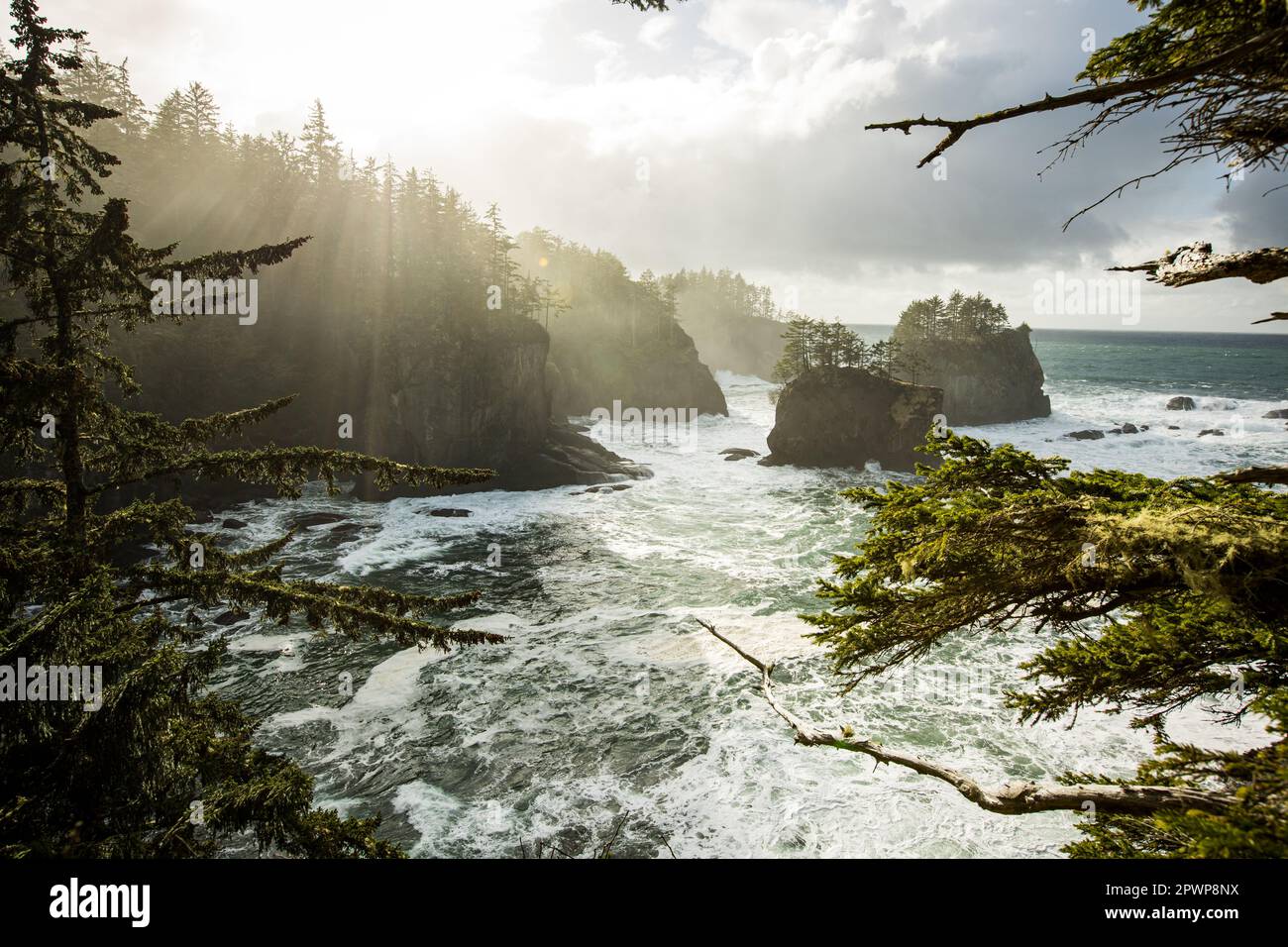 Washington Coastal Beach Landscape PNW Stock Photo - Alamy