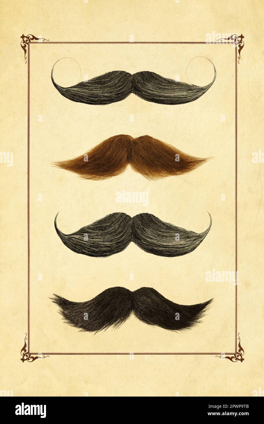 Retro styled image of four classic mustaches in a decorative frame ...