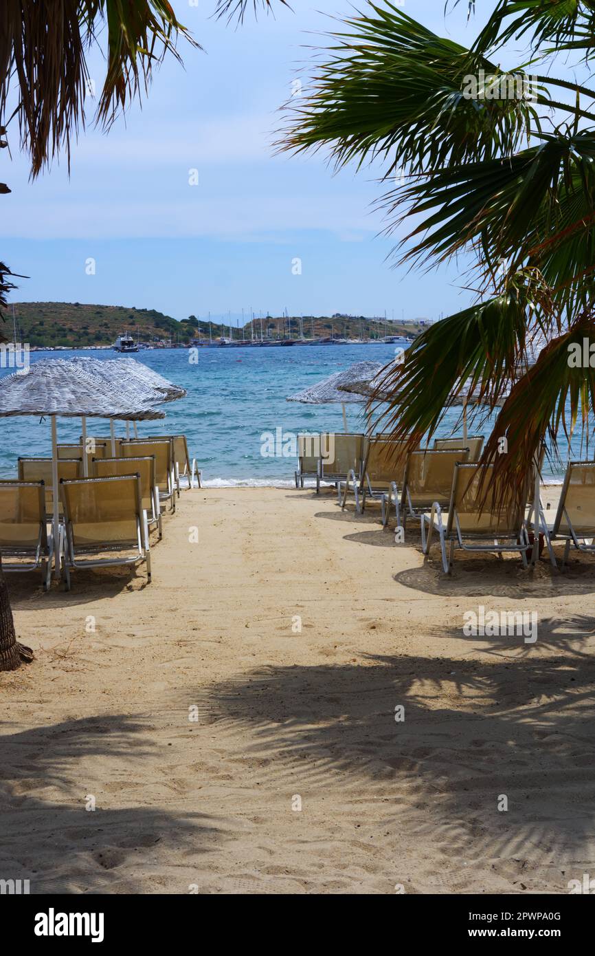 Empty seabeds at sandy beach with bambu umbrellas. Hills and trees at ...