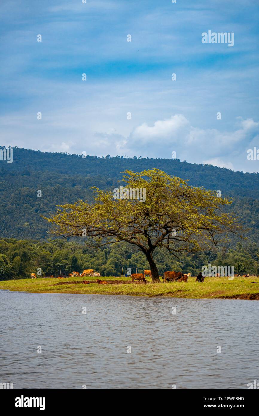Panoramic view of bangladesh hi-res stock photography and images - Alamy