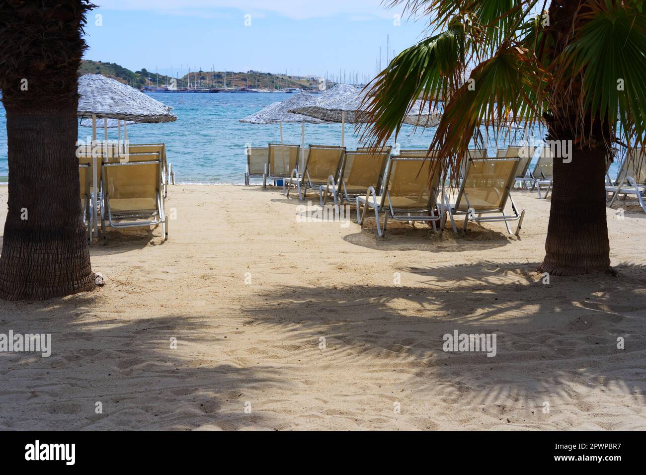 Empty seabeds at sandy beach with bambu umbrellas. Hills and trees at ...