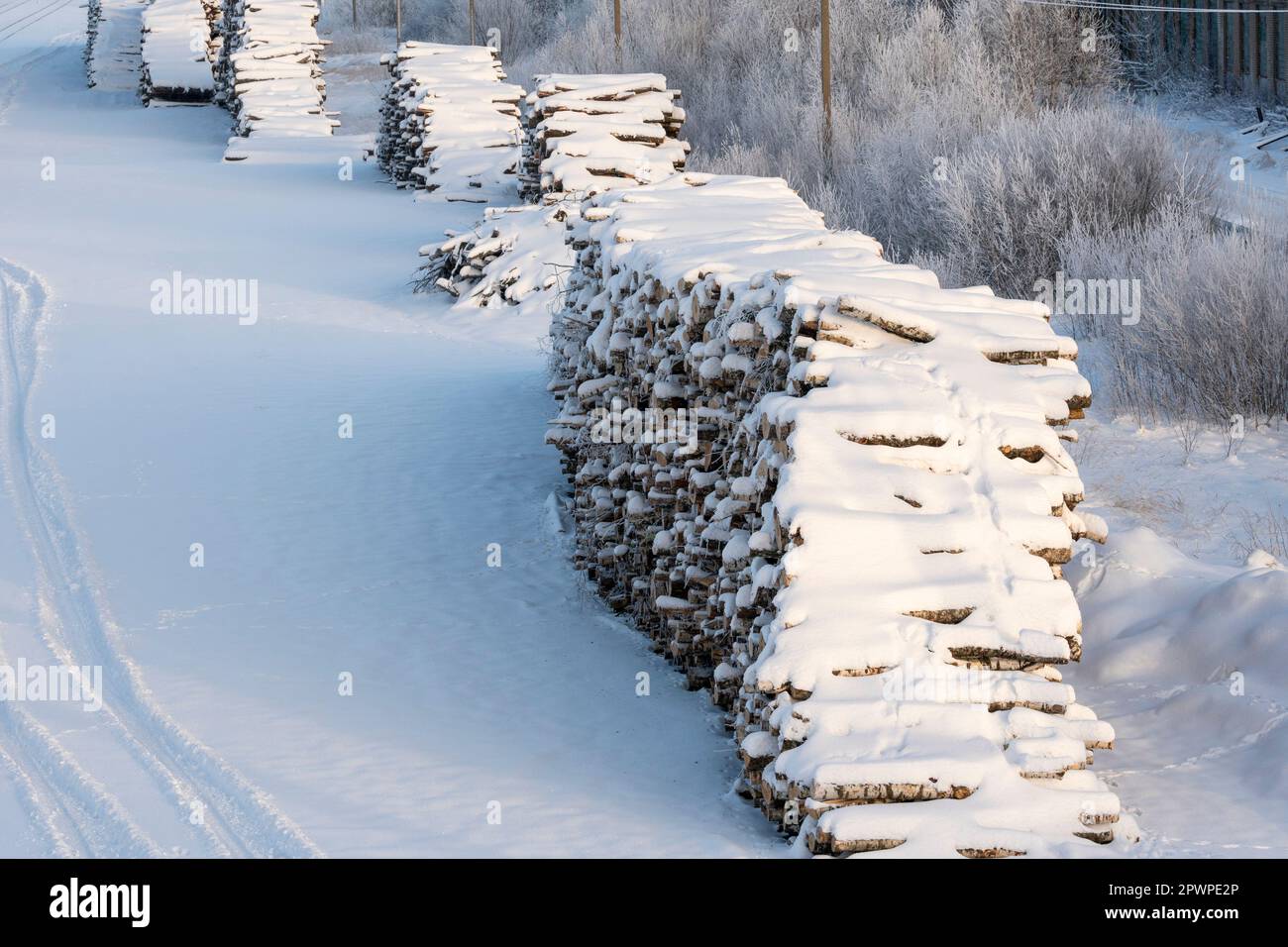 Stacked trunks of trees covered with a snow. Timber wood industry ...