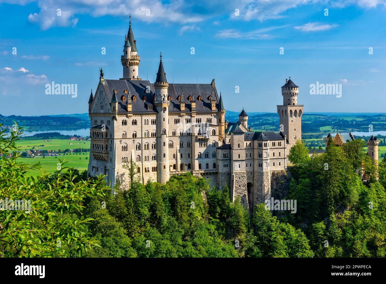 Panorama view of Neuschwanstein castle with forest, hill and horizon in ...