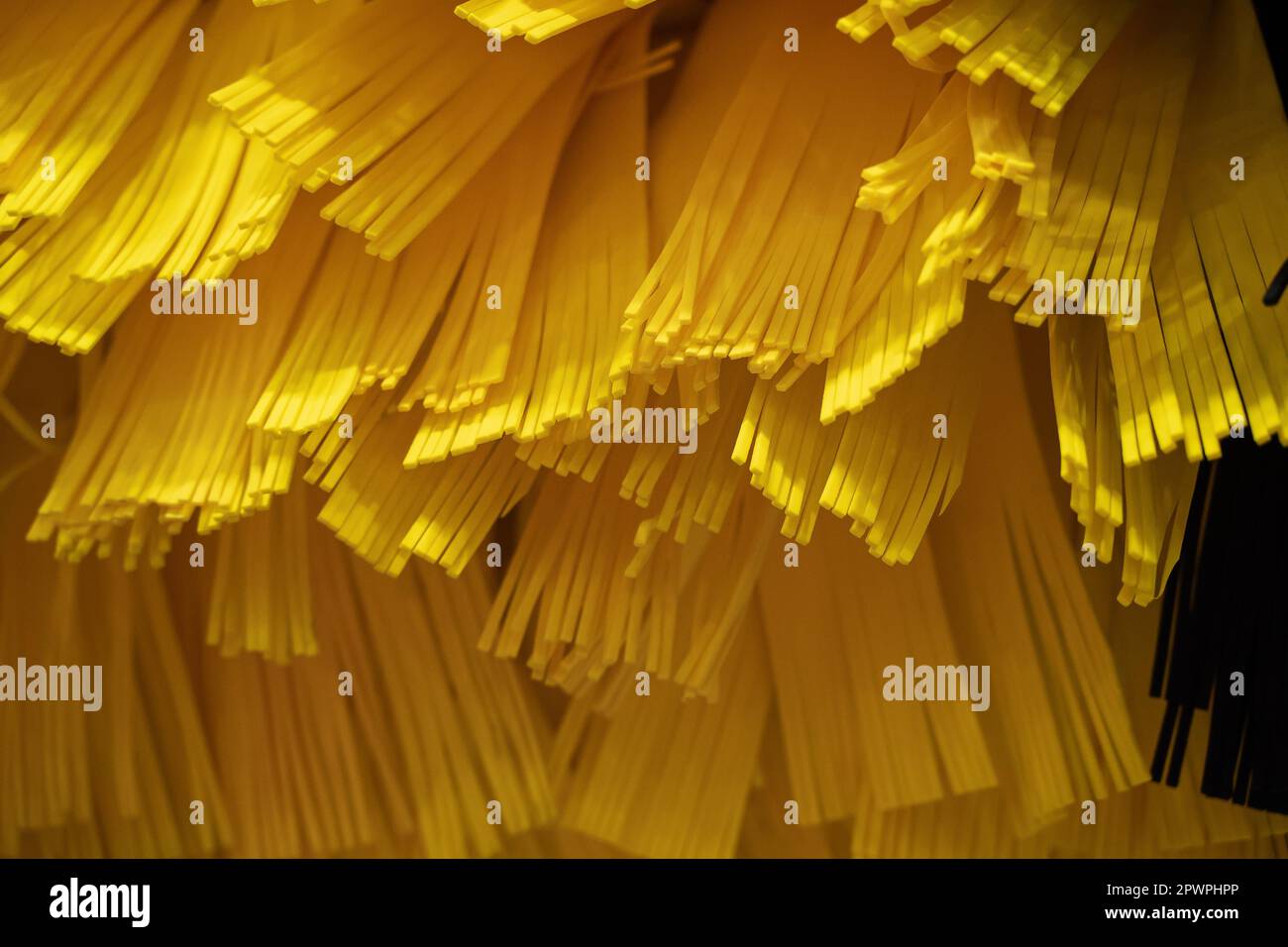 front view closeup detail of black automatic car wash system cleaning ...