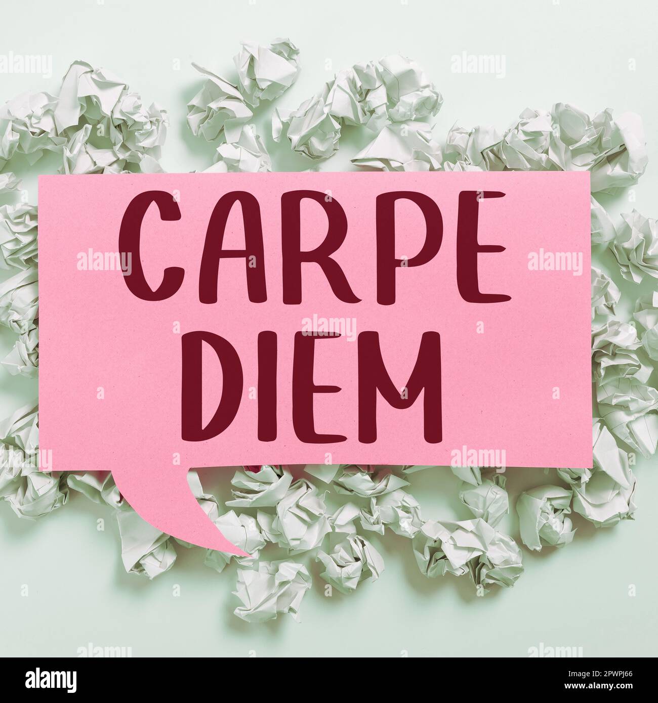 Inspiration showing sign Carpe Diem, Word for public festival which ...