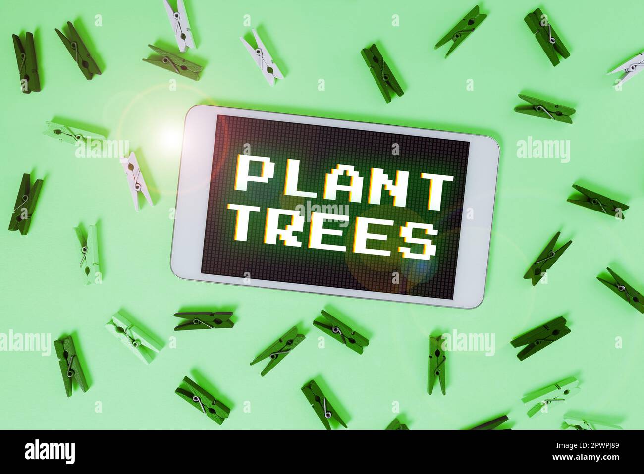 Conceptual display Plant Trees, Business showcase process of planting a ...