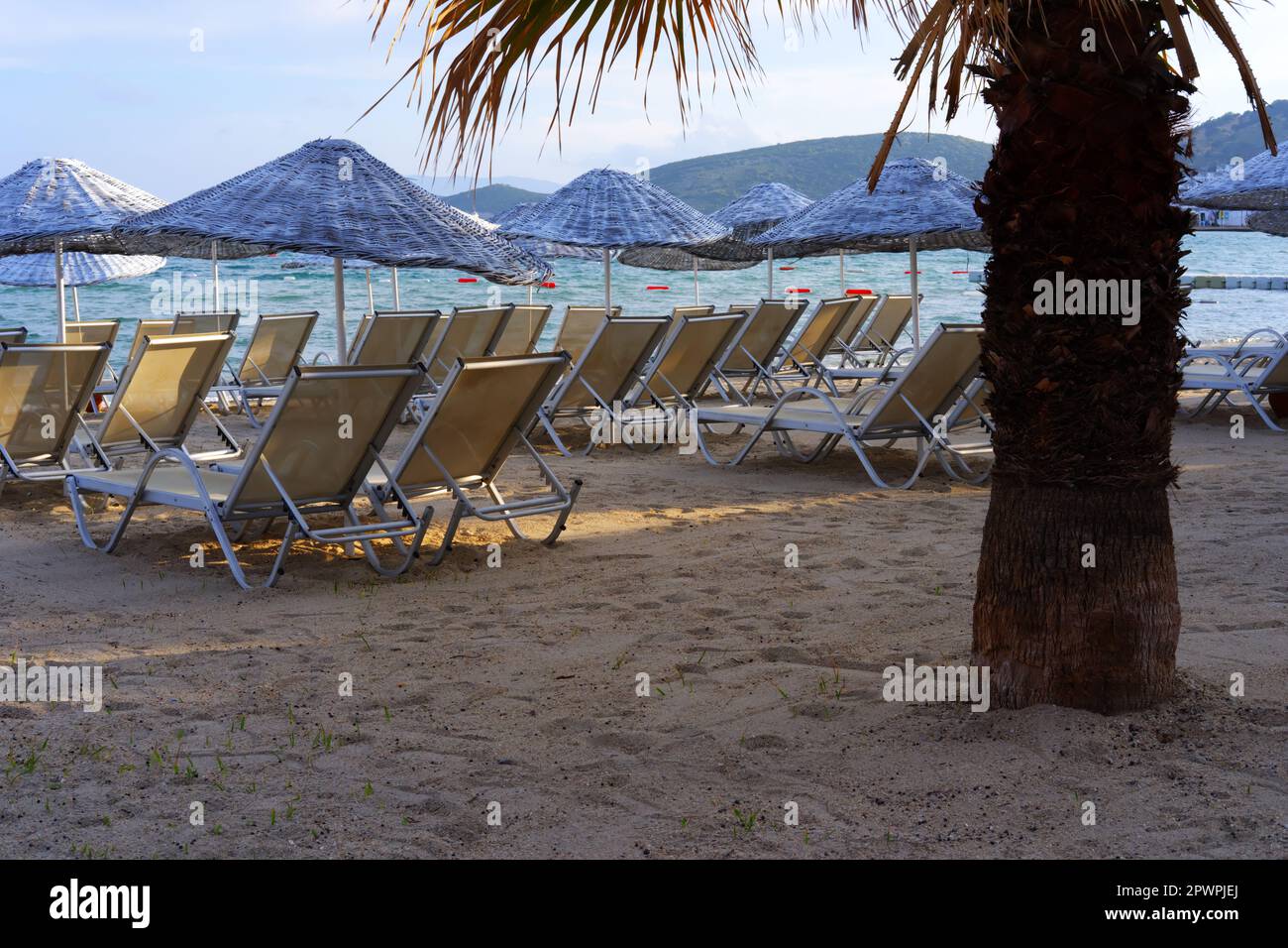 Empty seabeds at sandy beach with bambu umbrellas. Hills and trees at ...