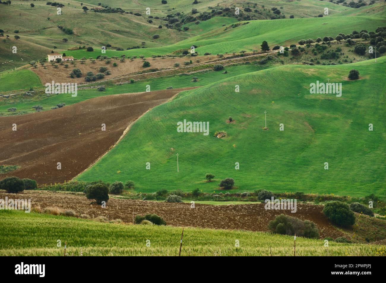 green field of farmland in Sicily, Italy Stock Photo - Alamy