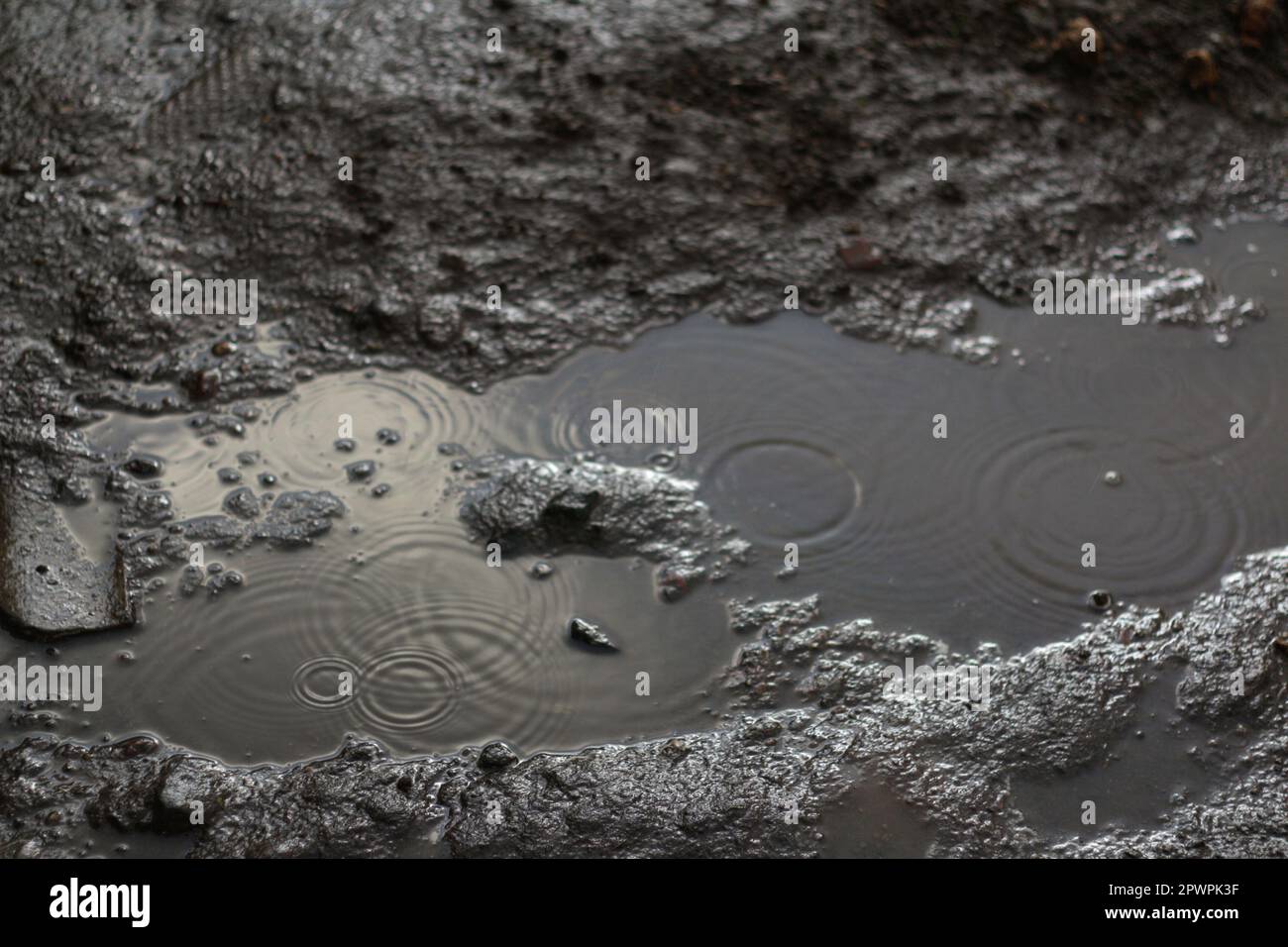 Rainy soil ground. Defocus water rain droplet splashes in puddle on ground. Dark, sad, moody and ...
