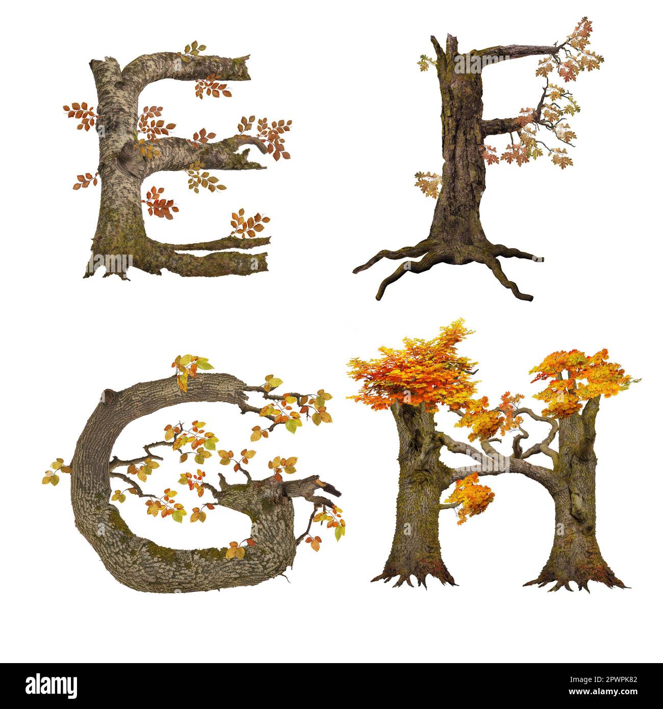 3D illustration of old autumn tree alphabet - letters E-H Stock Photo ...