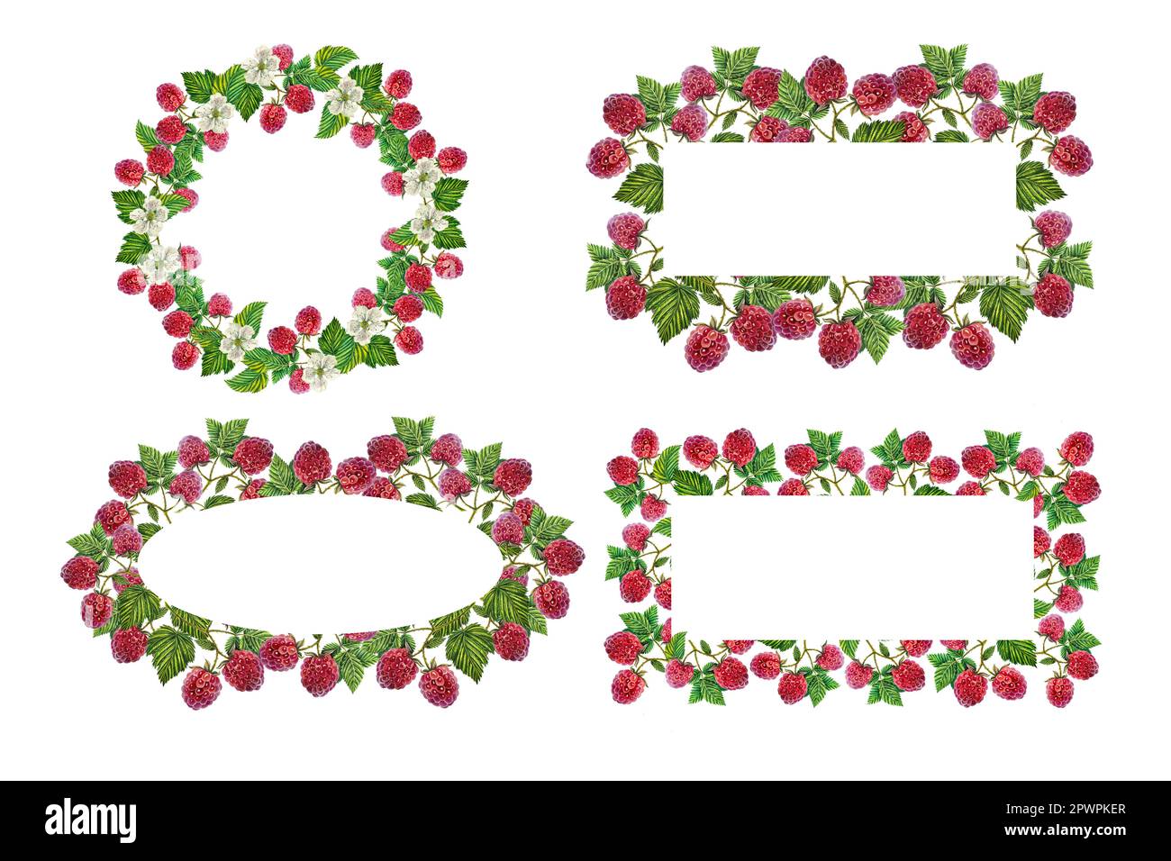 Frame with raspberry branches with berries and leaves. Watercolor, hand ...