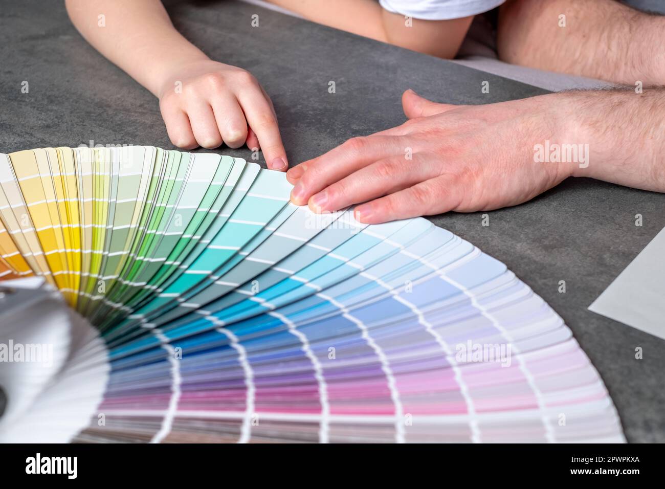 Close up family choosing samples the colors painting of the walls into ...