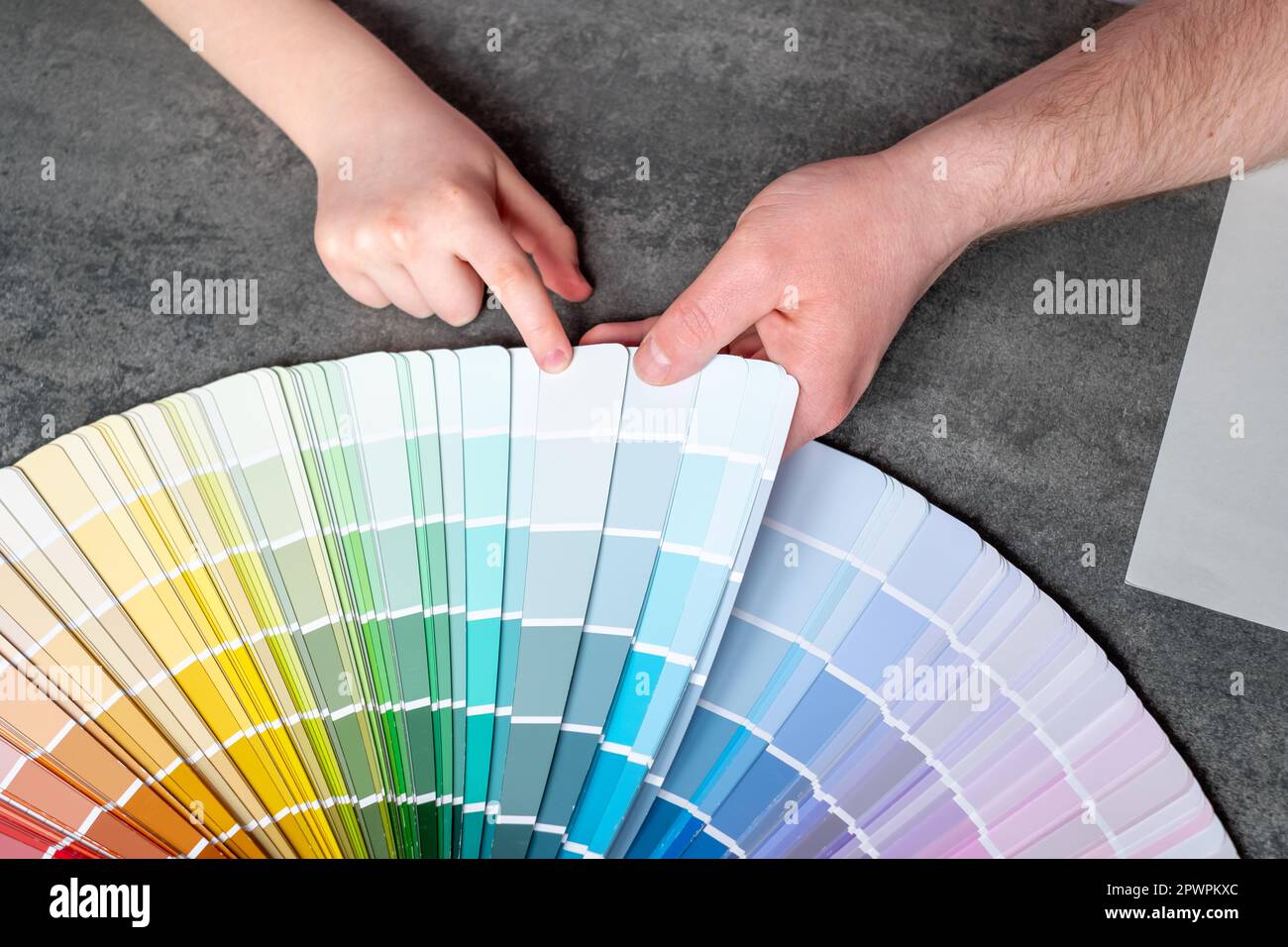 Close up family choosing samples the colors painting of the walls into ...