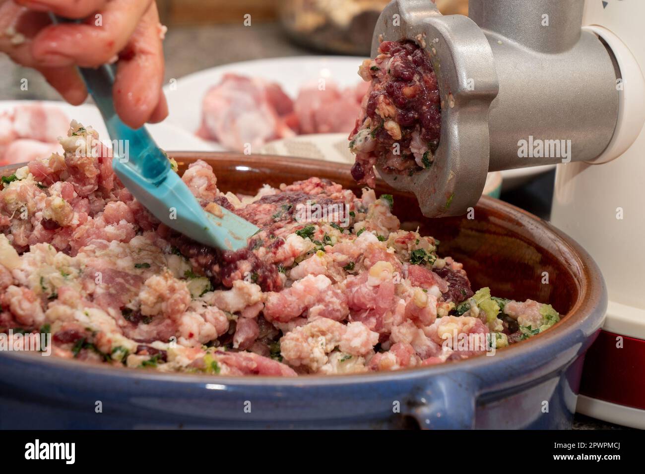 the process of preparing forcemeat by means of a meat grinder Stock ...