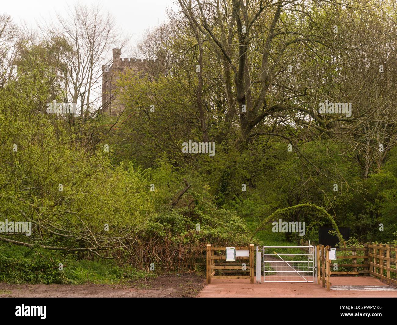 View of Abergavenny Castle Keep from path out of Castle Meadows through ...