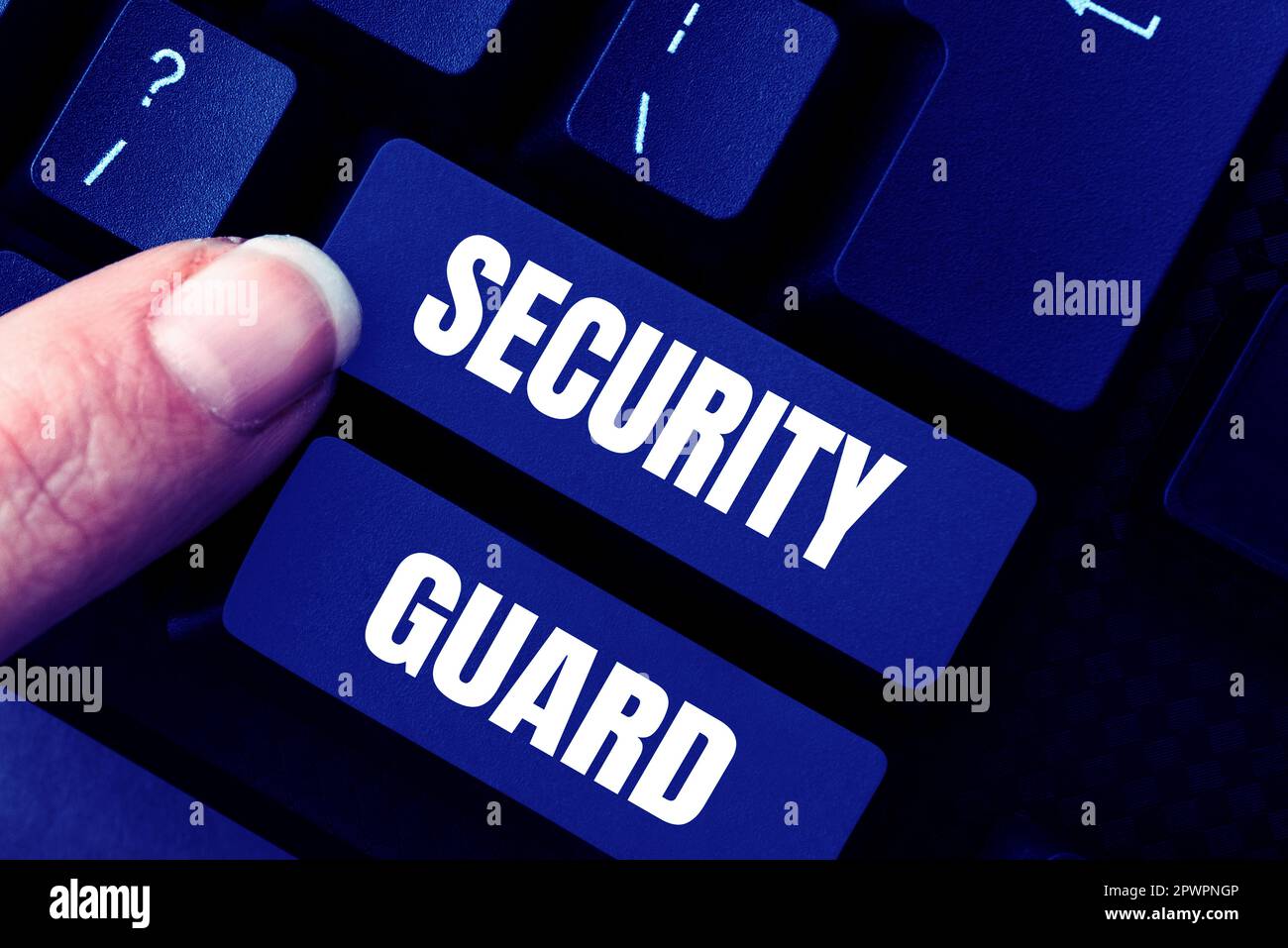 Conceptual Display Security Guard Business Overview Tools Used To Manage Multiple Security