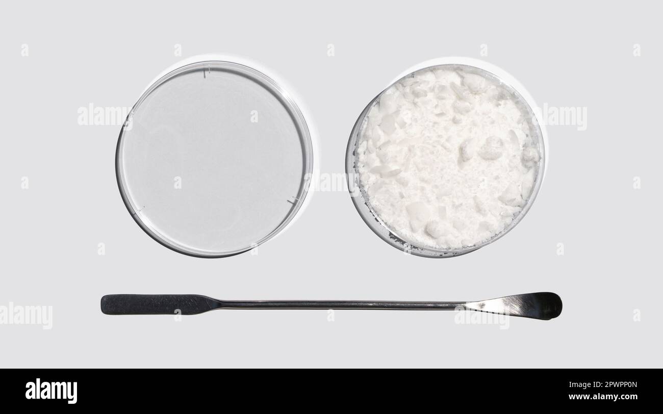 Cetyl Esters Wax in Petri dish with plastic lid placed next to the ...