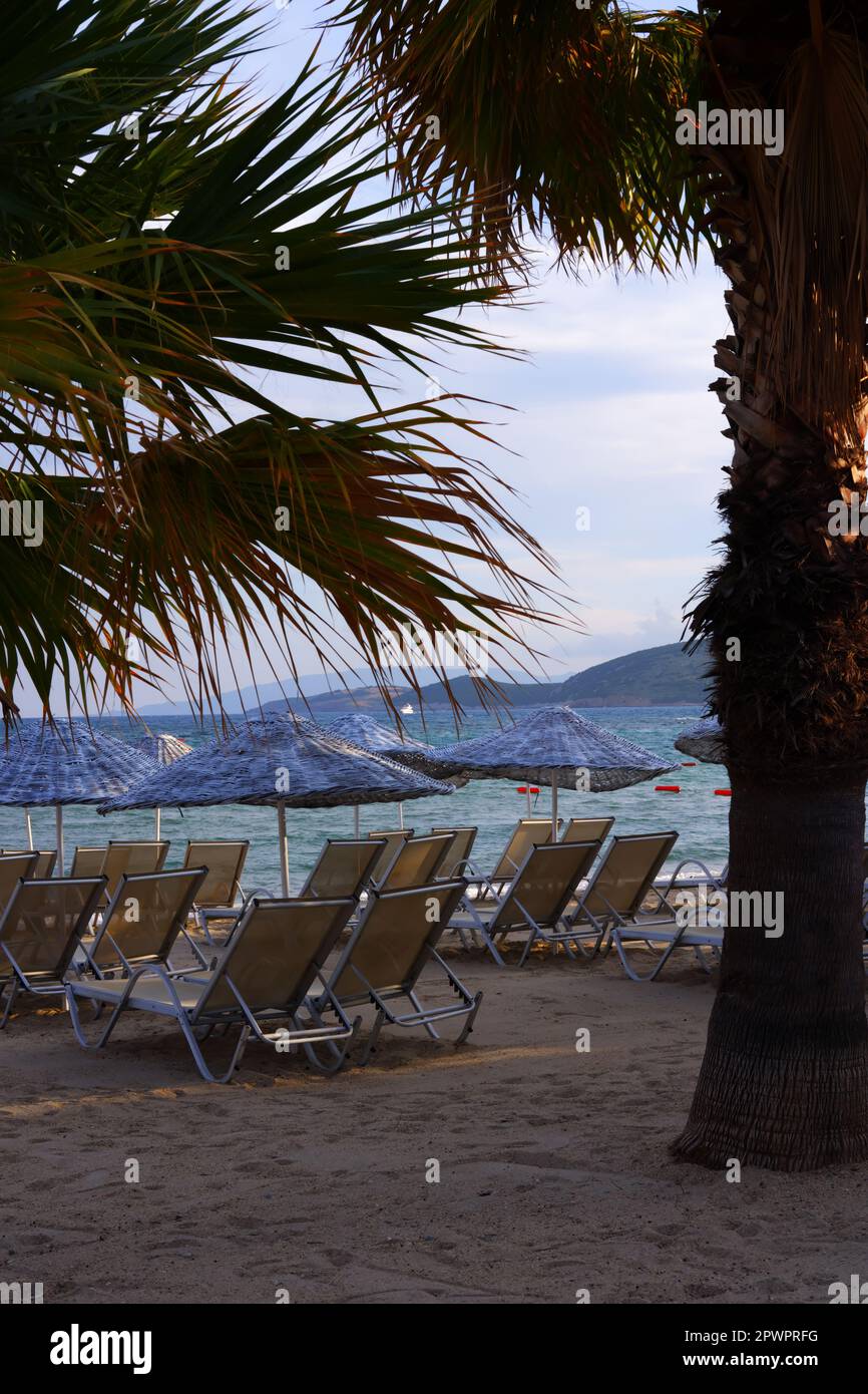 Empty seabeds at sandy beach with bambu umbrellas. Hills and trees at ...