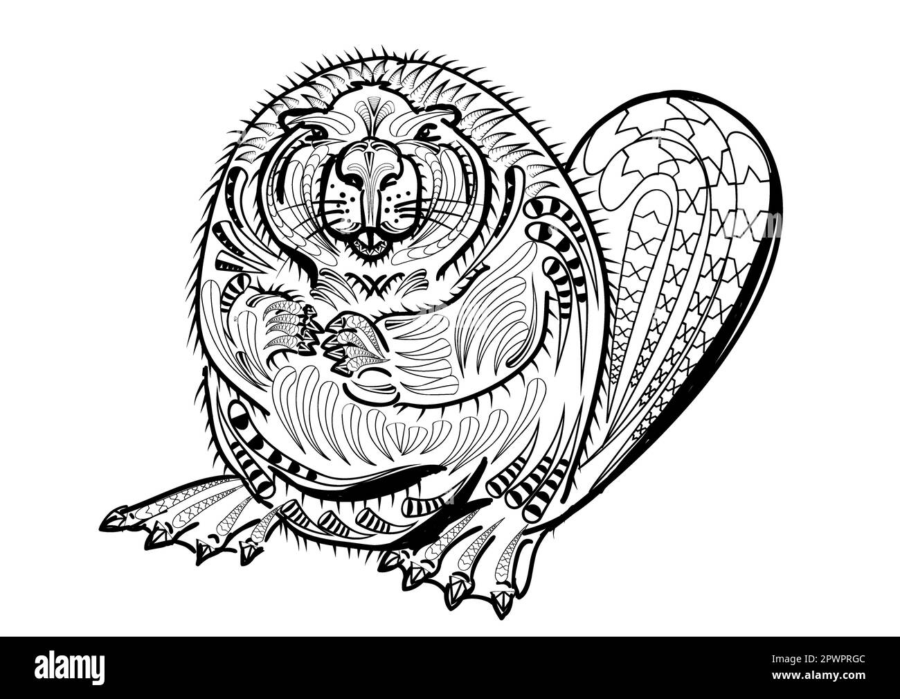 beaver vector illustration isolated on black background Stock Photo - Alamy