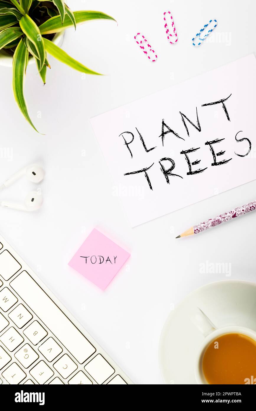 Writing displaying text Plant Trees, Business concept process of ...