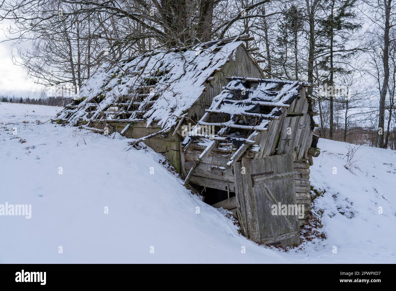 The old abandoned basement in Lithuanian village Stock Photo - Alamy