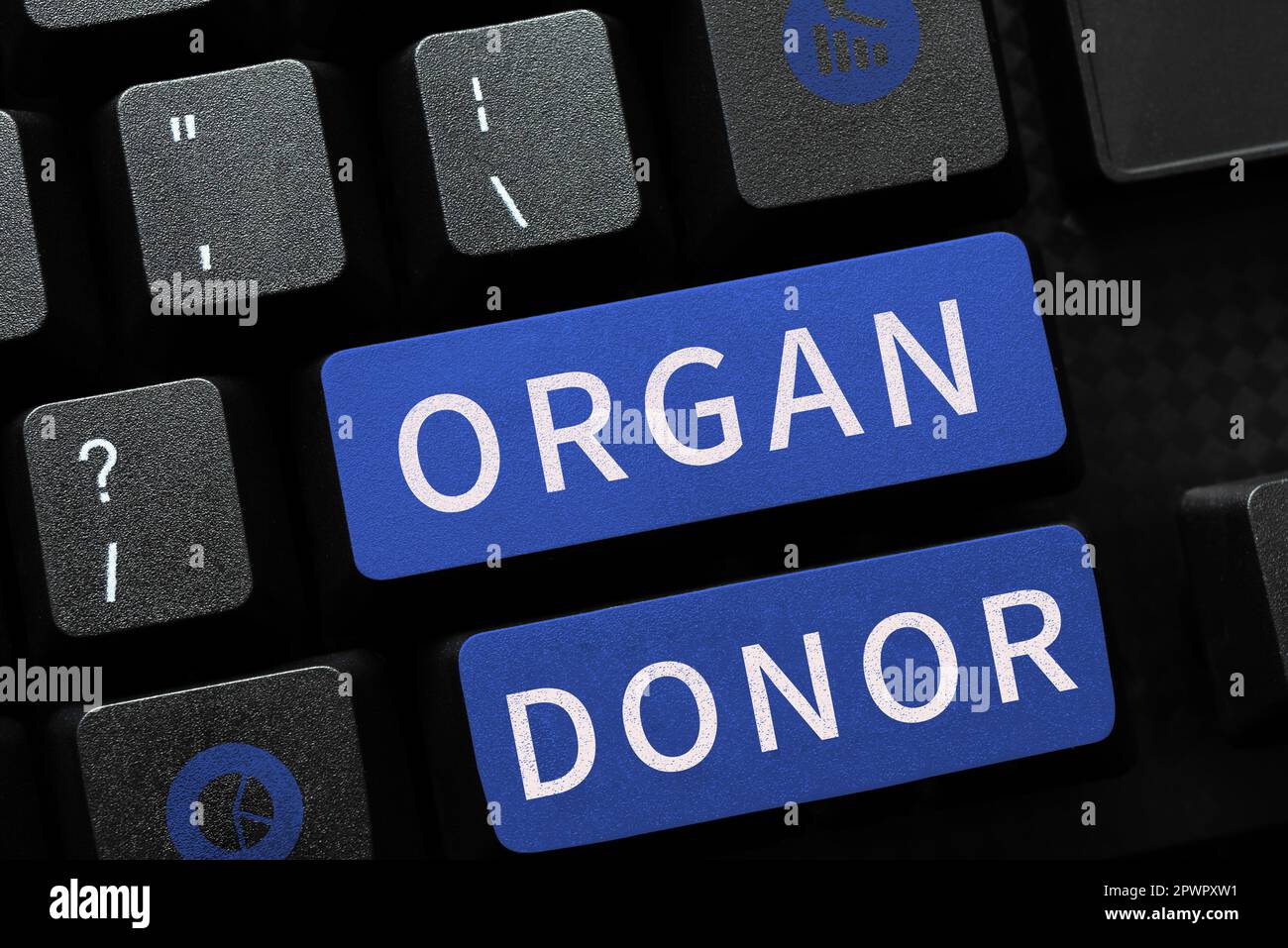 Hand writing sign Organ Donor, Internet Concept A person who offers an ...