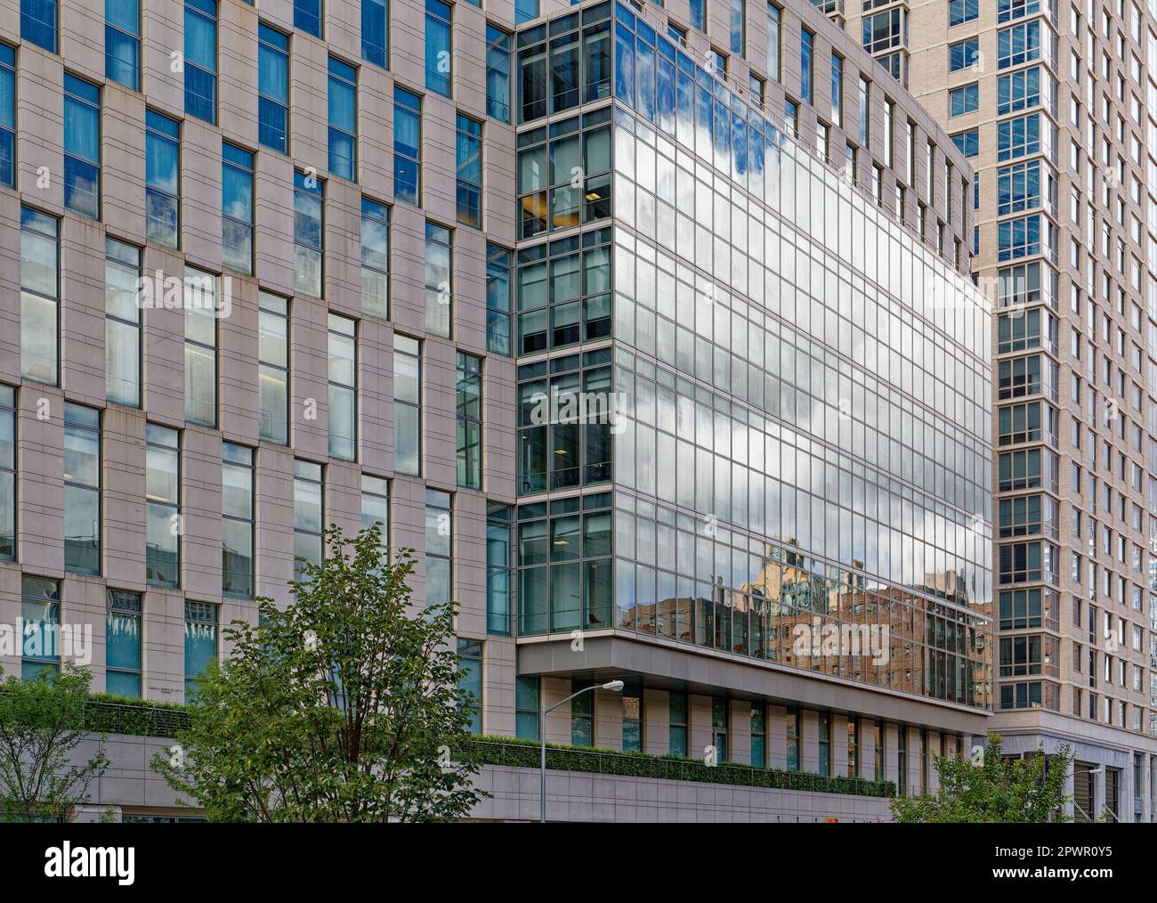 Fordham University’s Louis Stein Center for Law and Ethics and McKeon ...