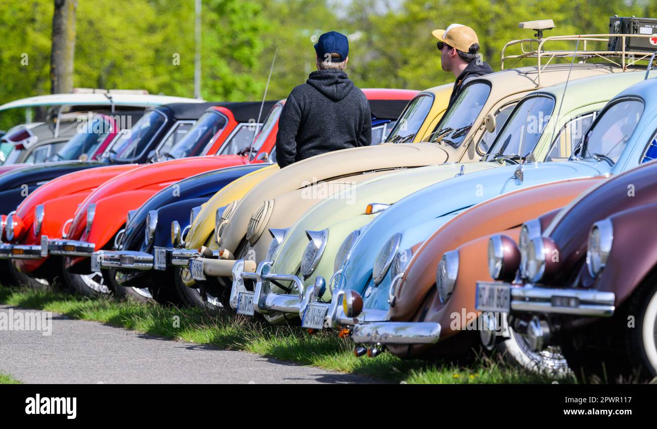 Hanover, Germany. 01st May, 2023. Many Volkswagen Beetles stand at the ...