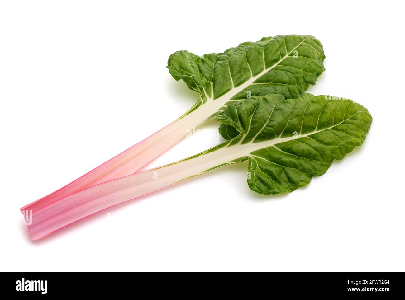 Fresh swiss chard isolated on white background Stock Photo - Alamy