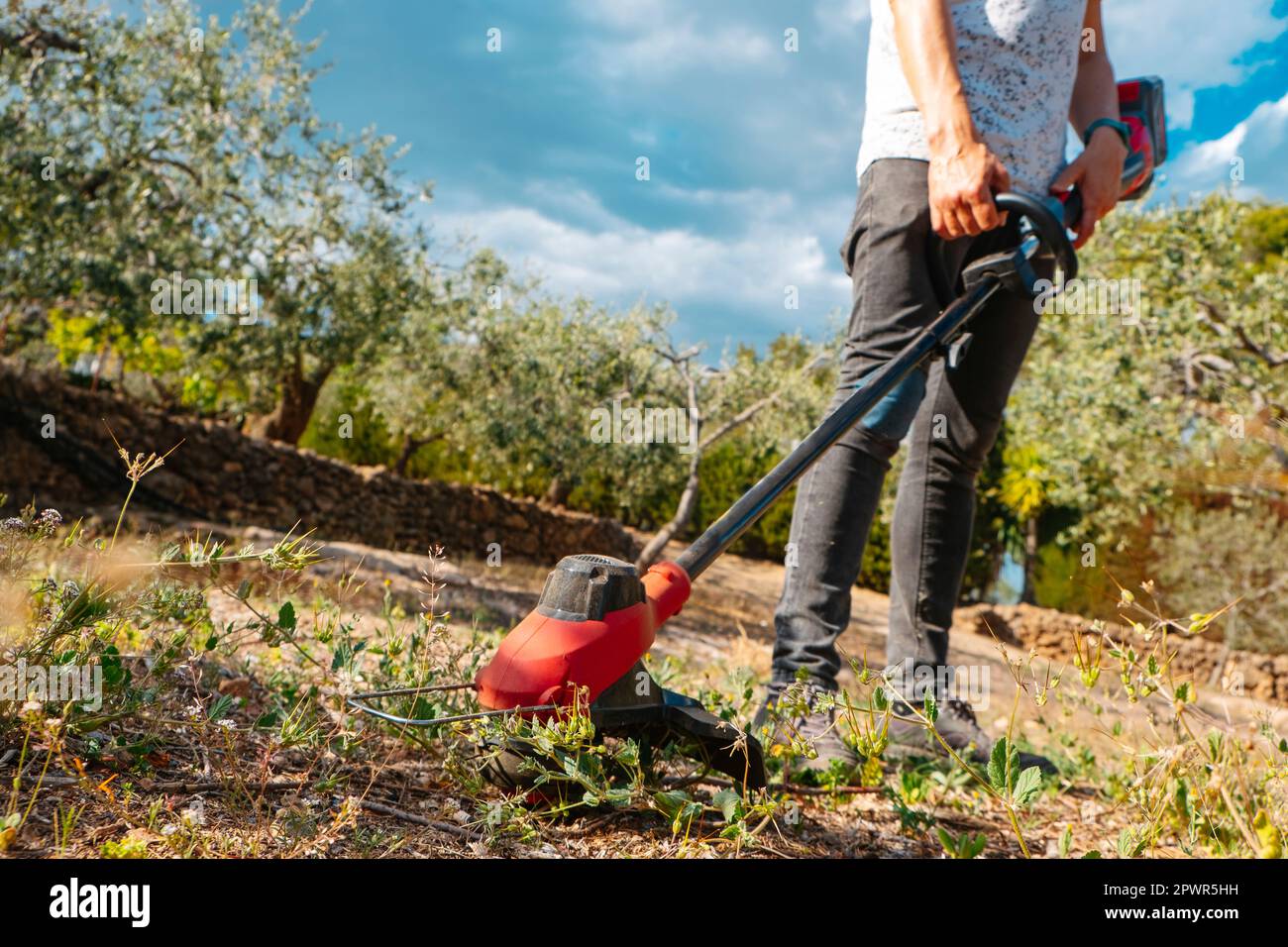 a young caucasian man using a cordless electric string trimmer to mow ...