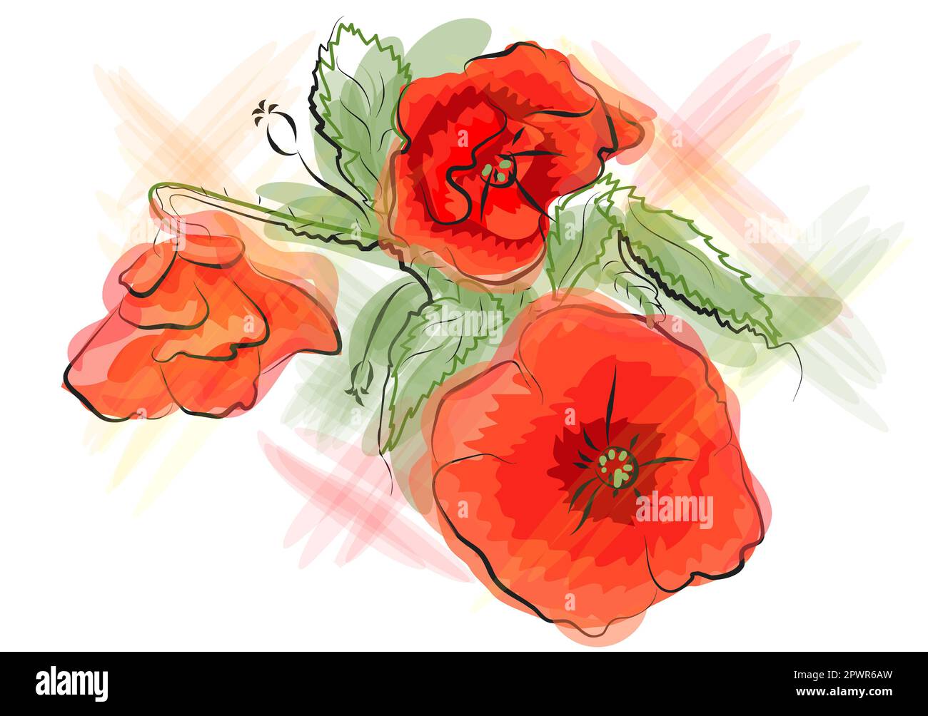 poppy abstract vector illustration isolated on white background Stock ...