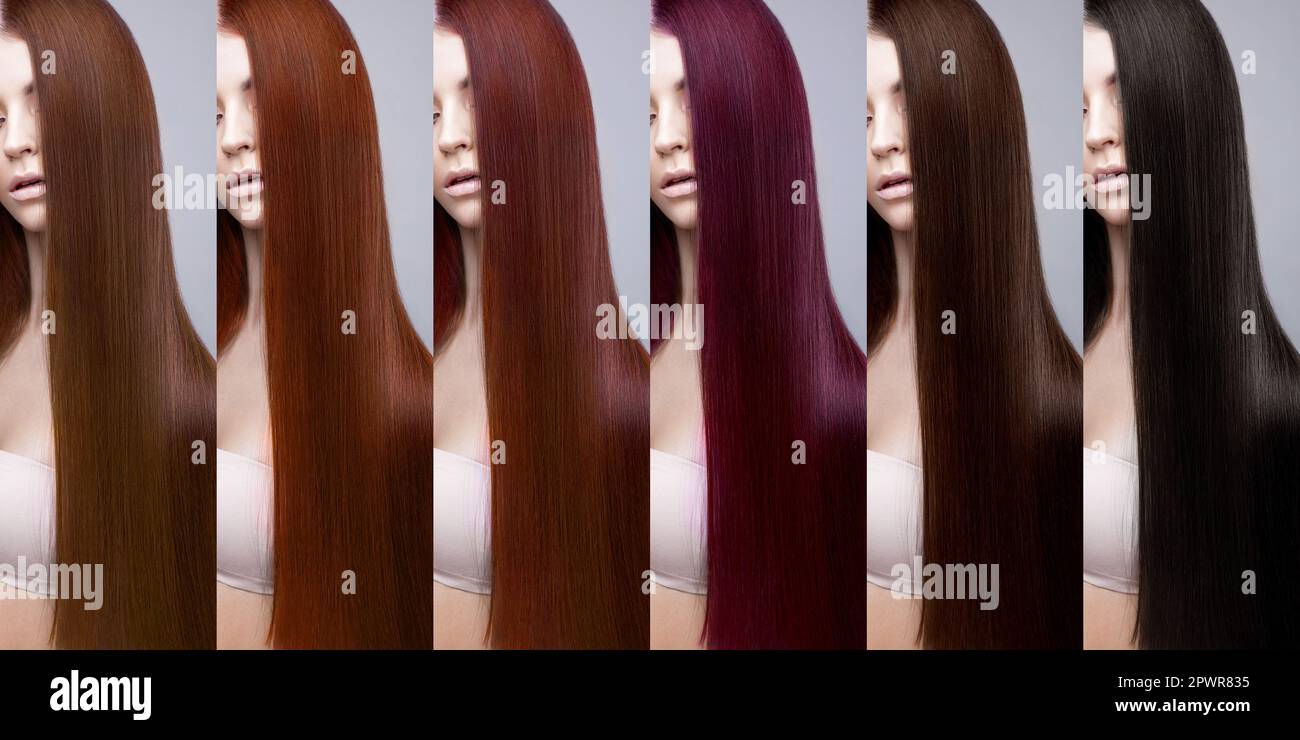 Hair Collection, shades, set of six colors. Girl with straight hair ...