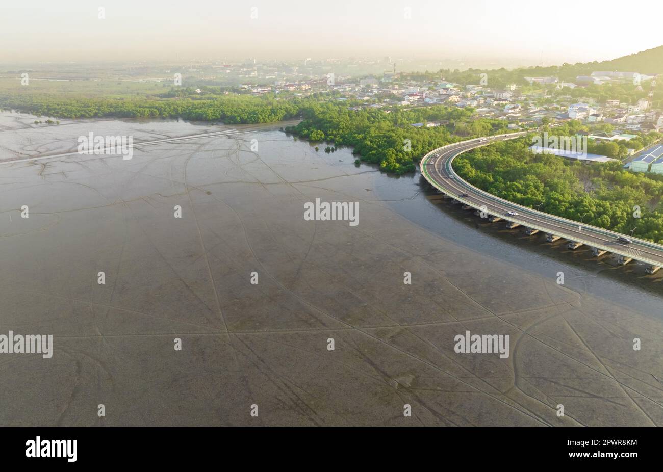 Aerial view of mudflat, mangrove forest, and sustainable city and green ...
