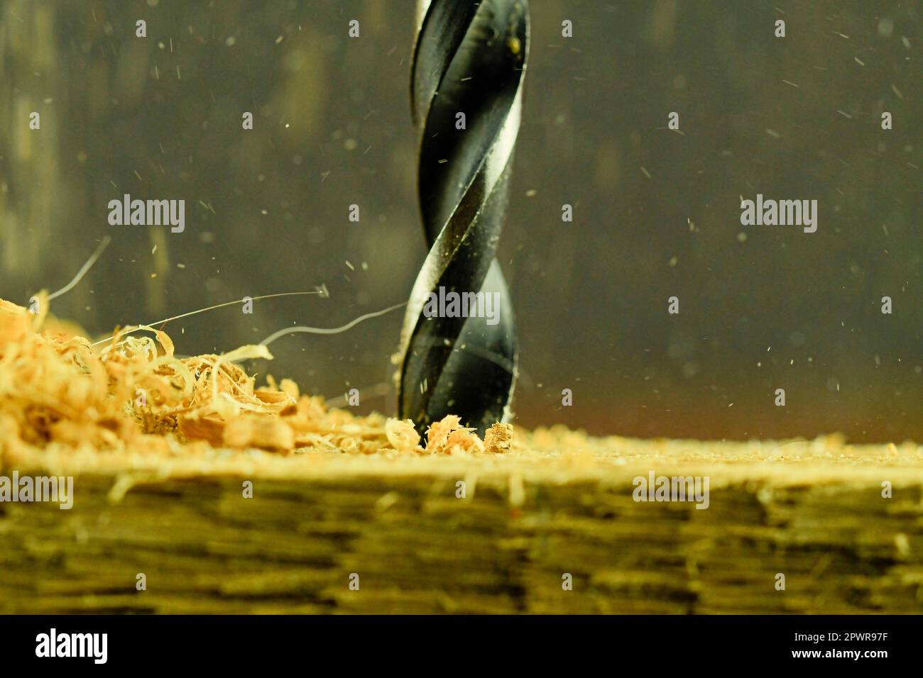 Macro image of the drill bit. Rotating drill bit and flying wood chips ...