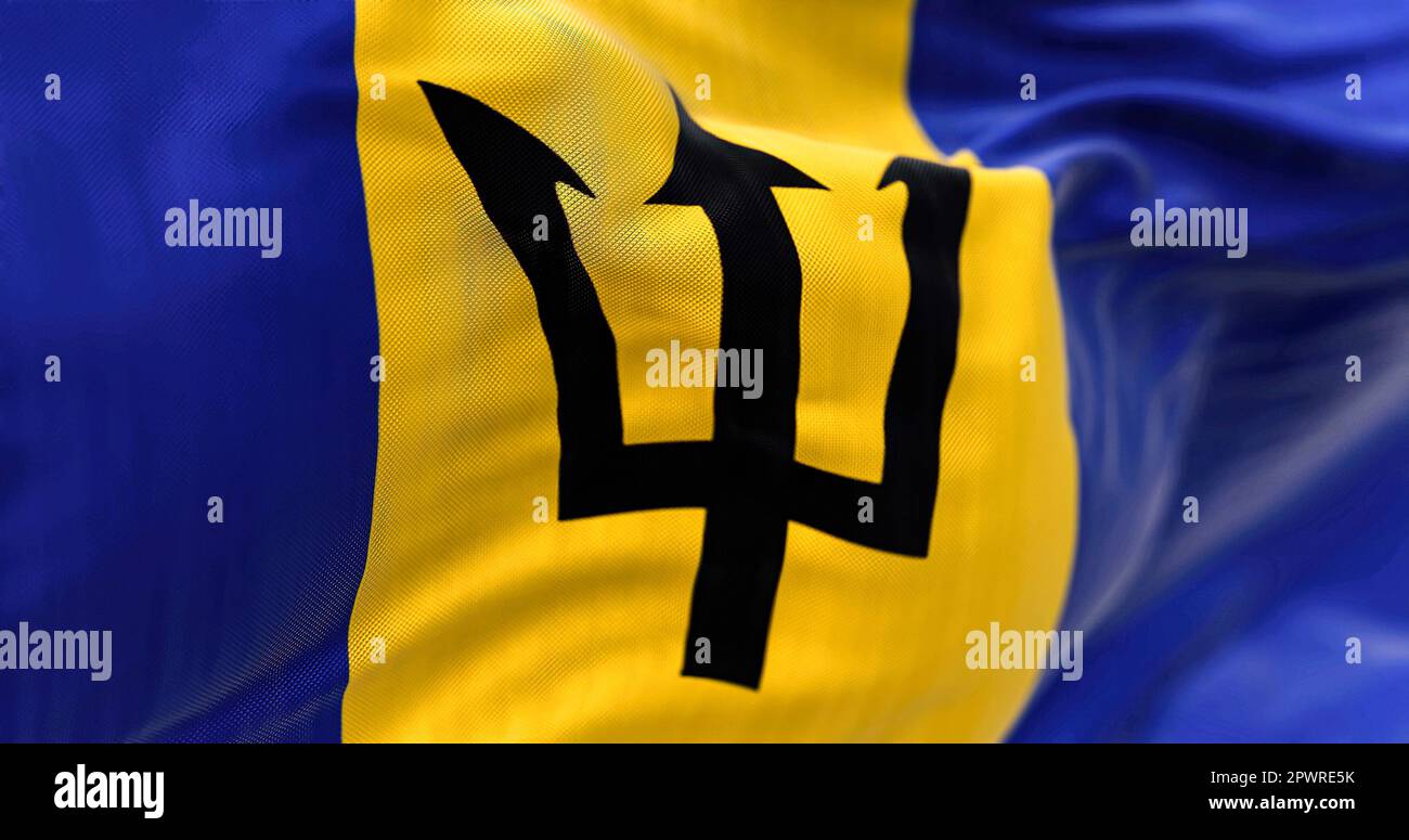 Barbados national flag waving.Blue and yellow flag with a black Triton ...