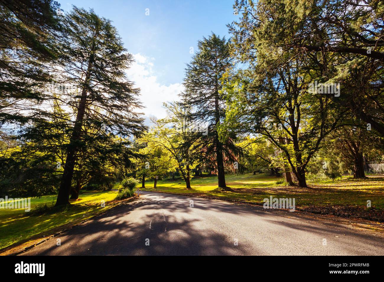 Maroondah Reservoir Park in Australia Stock Photo - Alamy