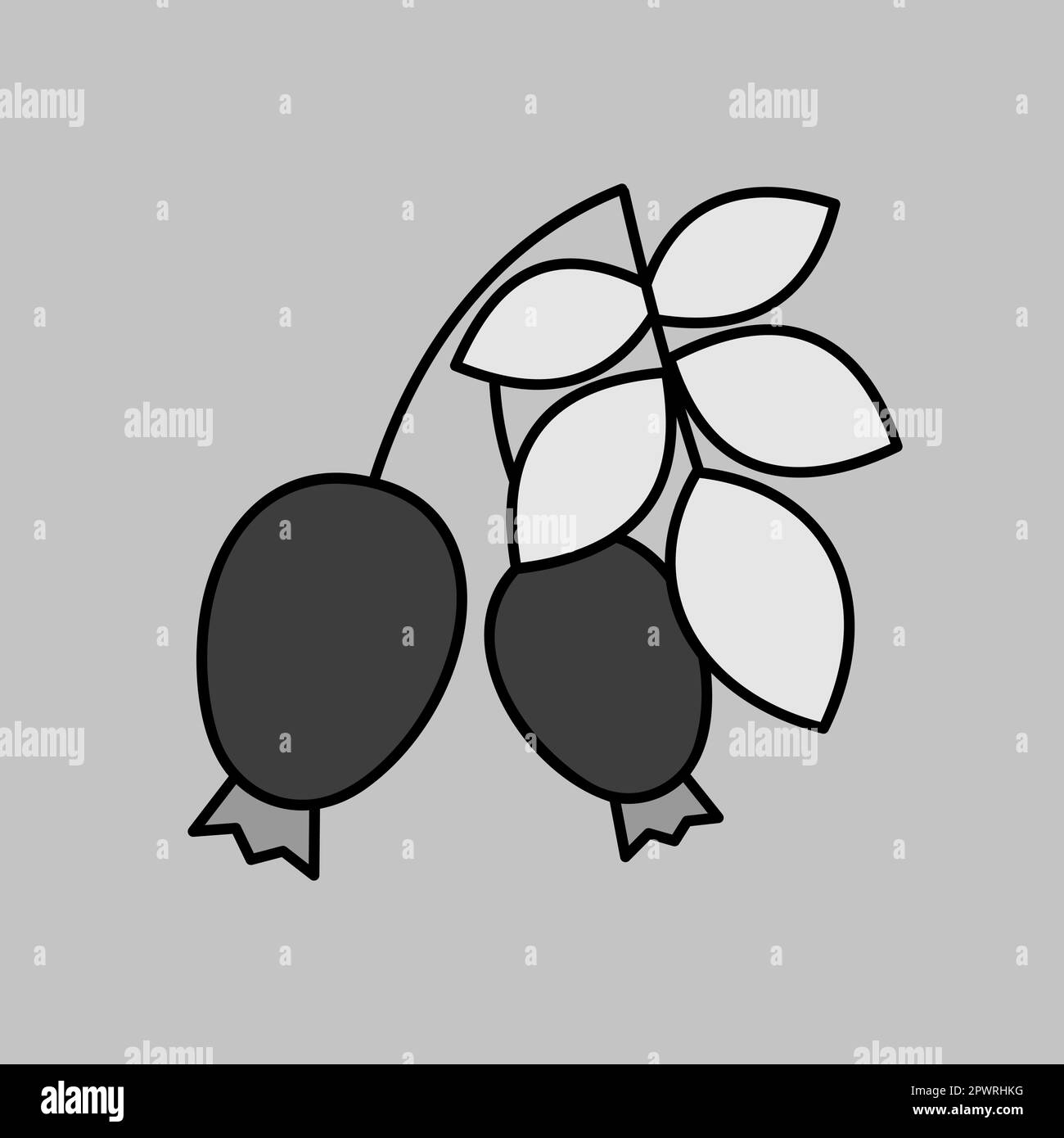 Rose hip berries and leaves vector grayscale icon. Graph symbol for ...
