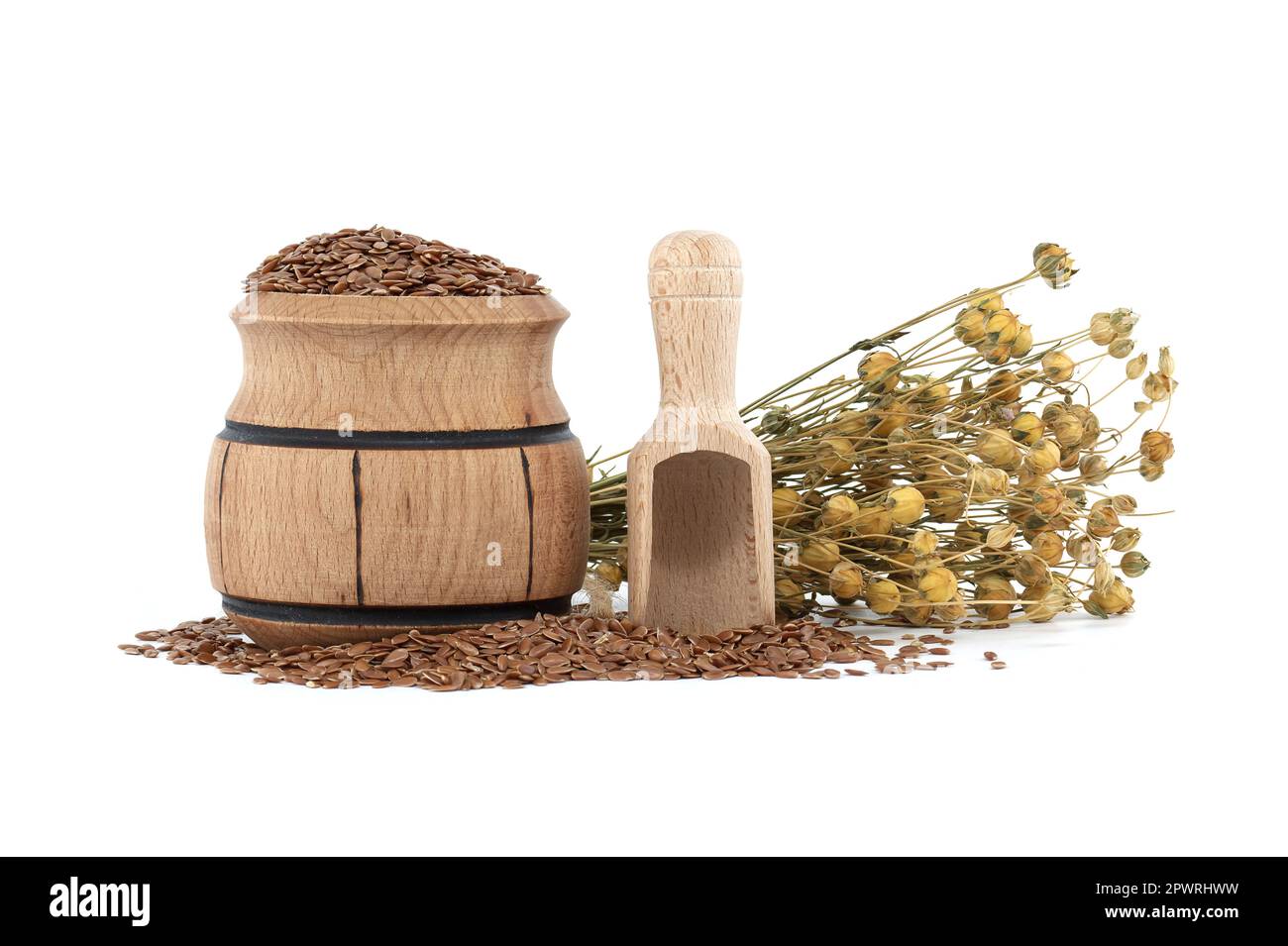 Linseed in small wooden barrel near bunch of flax plants and wooden scoop isolated on white ...
