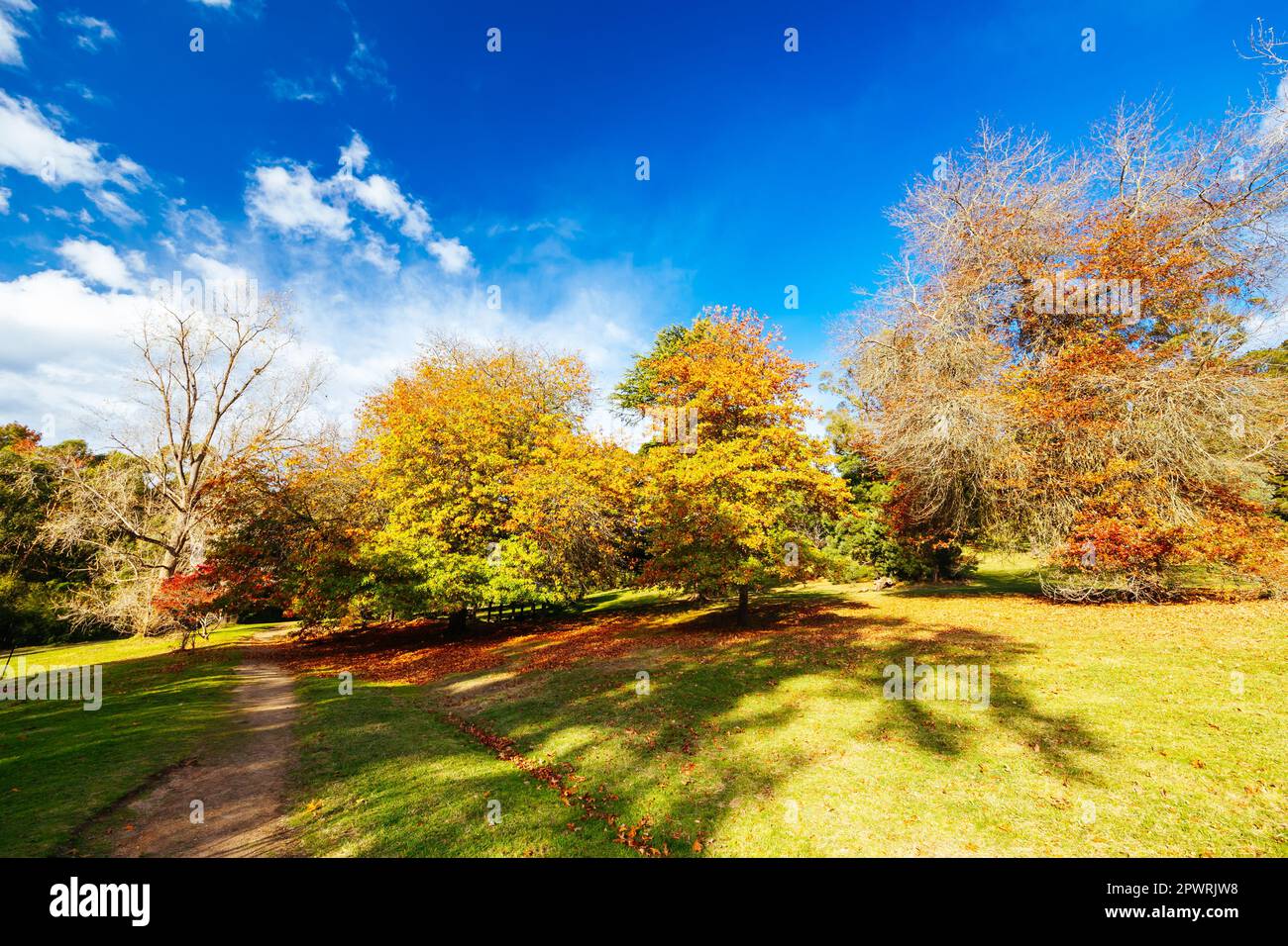 Maroondah Reservoir Park in Australia Stock Photo - Alamy